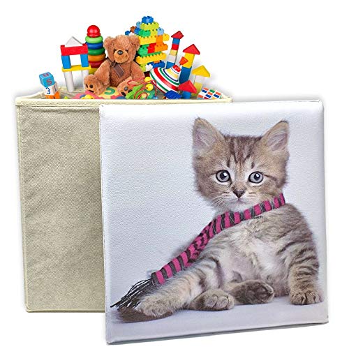 BANBERRY DESIGNS Cat Themed Folding Storage Bin- Padded Kitty Cover - Neutral Tan Color Kitten Design Container with Lid Perfect for Organizing - 12" Square