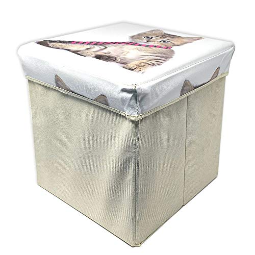 BANBERRY DESIGNS Cat Themed Folding Storage Bin- Padded Kitty Cover - Neutral Tan Color Kitten Design Container with Lid Perfect for Organizing - 12" Square