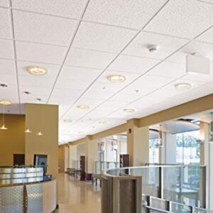 Armstrong Ceiling Tiles; 2x4 Ceiling Tiles - Acoustic Ceilings for Suspended Ceiling Grid; Drop Ceiling Tiles Direct from the Manufacturer; CORTEGA Item 703 – 10 pcs White Tegular