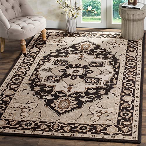 SAFAVIEH Chelsea Collection 3'9" x 5'9" Black / Natural HK709F Hand-Hooked French Country Wool Area Rug