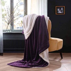 NANPIPER Sherpa Blanket, Super Soft Fuzzy Flannel Fleece/Wool Like Reversible Velvet Plush Couch Blanket, Lightweight Warm Blankets for Winter (Throw Size 50"x60", Purple)