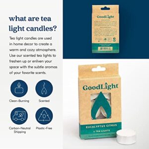 GOODLIGHT Candles Tea Lights Eucalyptus Citrus, 6 CT