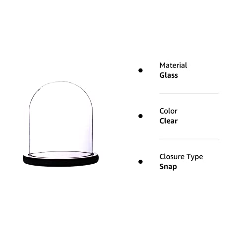 Artlass Glass Cloche Bell Jar Display Dome with Black Wooden Base 6" x 7"