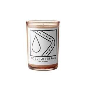 d.s. & durga big sur after rain candle – 7 oz