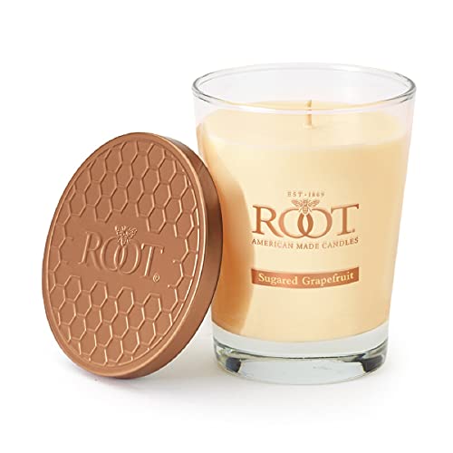 Root Candles 8870296 Honeycomb Veriglass Scented Beeswax Blend Candle, Large, Sugared Grapefruit