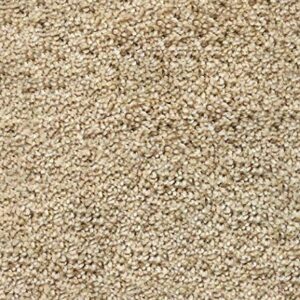 4'x8' - Speckled Saw Dust ECONOMICAL Solutions Collection | Custom Carpet Area Rugs & Runners - 25 Oz. Soft Textured 100% PureColor BCF Polyester. FHA Approved-CRI Green Label-Made in U.S.A.