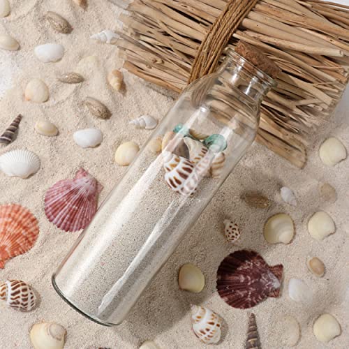 Magic Season Decorative Glass Bottles with Cork Stoppers (12 fl oz. Round Bottles / 2 Pcs)