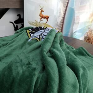 Anime Throw Blanket Flannel Fleece Blanket Cosplay Hooded Cloak Shawl Wrap Nap Quilt (47''X 65'', Green)