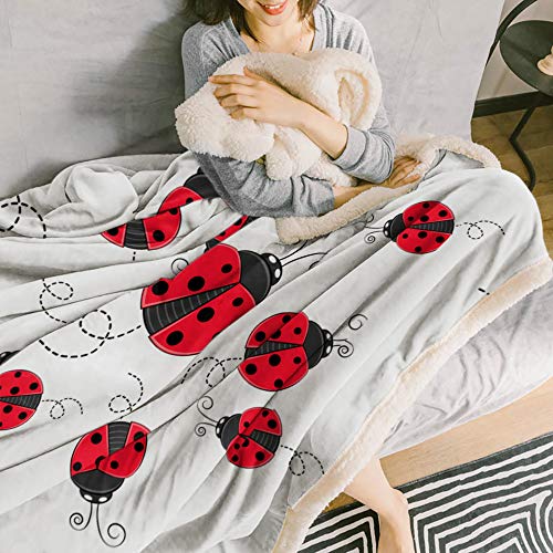 Ladybug Sherpa Fleece Blanket,Red Ladybug on White Background Bed Blanket Soft Cozy Luxury Blanket 50"x60",Fuzzy Thick Reversible Super Warm Fluffy Plush Microfiber Throw Blanket for Couch