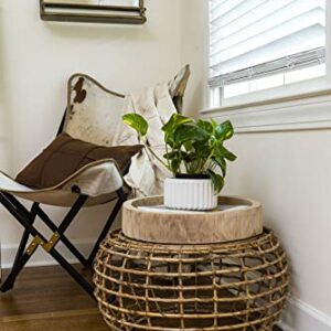 Creative Co-Op Paulownia Wood Hand Carved Tray