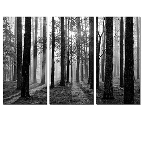 Visual Art Decor 3 Pieces Black and White Sunshine Foggy Forest Trees Canvas Prints Living Room Home Wall Decoration