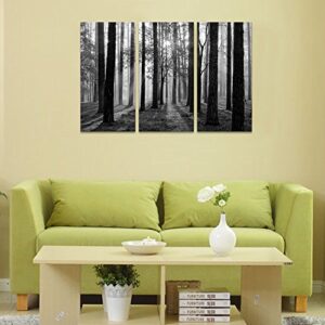 Visual Art Decor 3 Pieces Black and White Sunshine Foggy Forest Trees Canvas Prints Living Room Home Wall Decoration