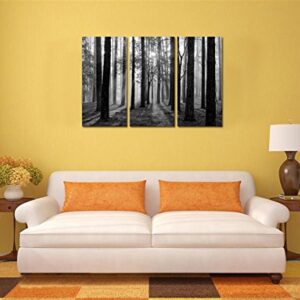 Visual Art Decor 3 Pieces Black and White Sunshine Foggy Forest Trees Canvas Prints Living Room Home Wall Decoration