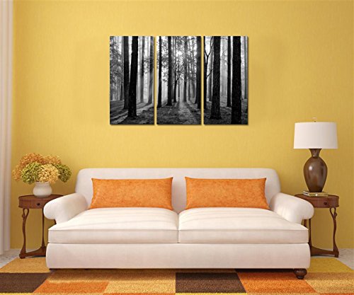 Visual Art Decor 3 Pieces Black and White Sunshine Foggy Forest Trees Canvas Prints Living Room Home Wall Decoration