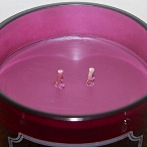 DW Home Large Double Wick Candle, Lavender Chamomile