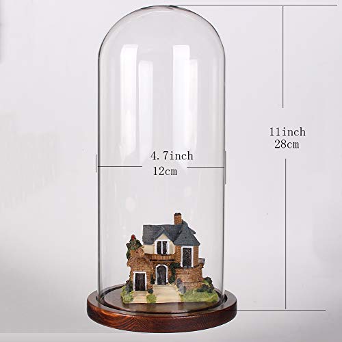 Moonlear Glass Dome Cloche Tabletop Display Case Bell Jar 4.7" x H 11" (Coffee wood base)