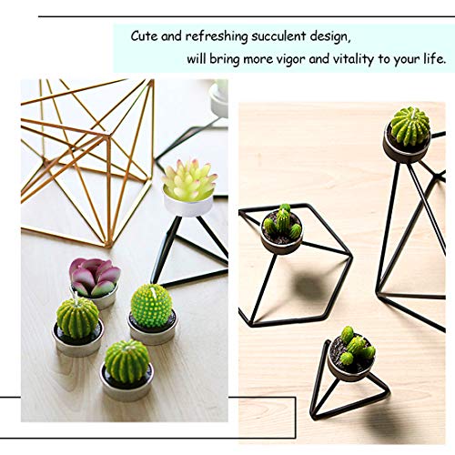 Swpeet 12Pcs Decorative Succulent Cactus Tealight Candles Kit, Cute Smokeless Succulent Plants Perfect for Candles Festival Wedding Props and House-Warming Party (N0.7-Candle)