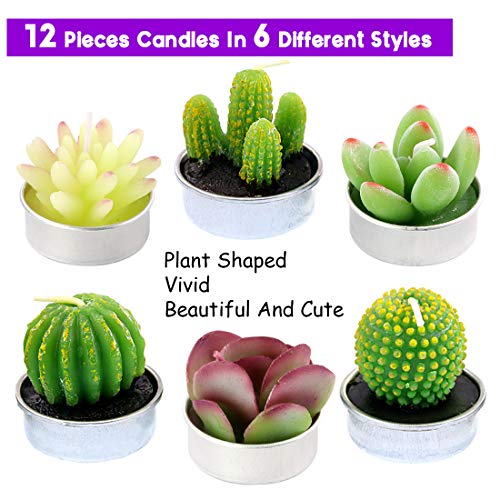 Swpeet 12Pcs Decorative Succulent Cactus Tealight Candles Kit, Cute Smokeless Succulent Plants Perfect for Candles Festival Wedding Props and House-Warming Party (N0.7-Candle)