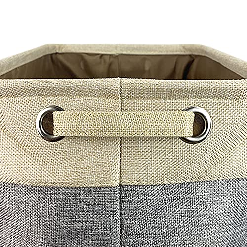 MALIHONG Personalized Foldable Storage Basket with Funny Dog Border Collie Collapsible Sturdy Fabric Pet Toys Storage Bin Cube with Handles for Organizing Shelf Home Closet, Grey and White