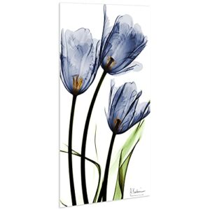 Empire Art Direct Frameless Free Floating Tempered Glass Panel Graphic Wall Art Ready to Hang, 24" x 48", Three Blue Tulips