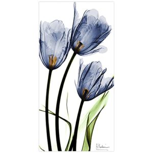 Empire Art Direct Frameless Free Floating Tempered Glass Panel Graphic Wall Art Ready to Hang, 24" x 48", Three Blue Tulips