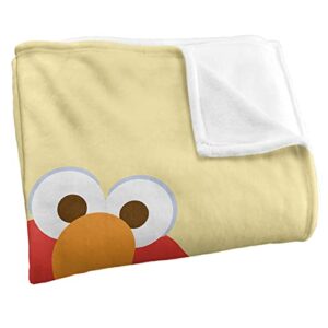 Sesame Street Flowers for You Officially Licensed Silky Touch Super Soft Throw Blanket 36" x 58"