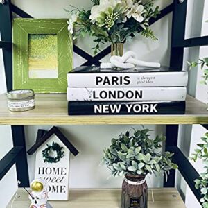 3 Pieces Fashion Decorative Book,Hardcover Modern Decorative Book Stack,Fashion Design Book Set,Display Books for Coffee Tables/Shelves(Paris/New York/London)