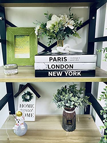 3 Pieces Fashion Decorative Book,Hardcover Modern Decorative Book Stack,Fashion Design Book Set,Display Books for Coffee Tables/Shelves(Paris/New York/London)