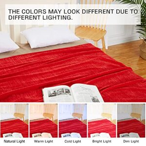 CAROMIO Christmas Red Throw Blanket for Couch, Soft Chenille Throw Blankets with Decoration Tassel, Velvety Texture Knitted Throw for Home Couch Sofa Chair Bed (Christmas Red, 50 x 60 Inches)