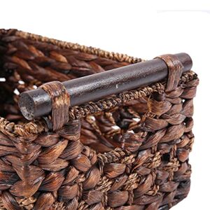 Storage Basket made by Water Hyacinth with Wood Handles, Arts and Crafts. (RectangleA-Large)