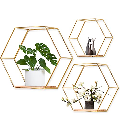 Wall Mounted Hexagonal Floating Shelves Set of 3 in Different Sizes, Modern Metal Wall Shelf, Simple Wood Partition Storage Shelves, Wall Decor Rack for Bedroom, Living Room, Kitchen and Office