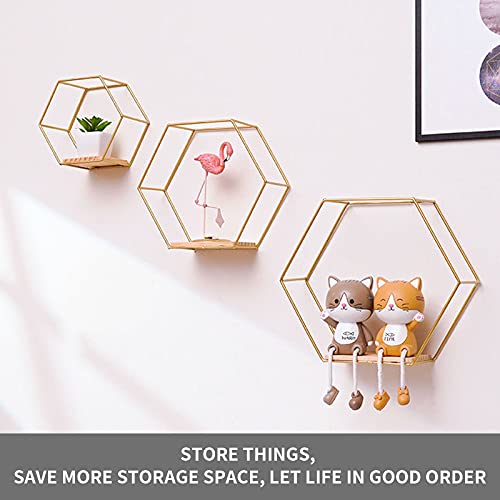 Wall Mounted Hexagonal Floating Shelves Set of 3 in Different Sizes, Modern Metal Wall Shelf, Simple Wood Partition Storage Shelves, Wall Decor Rack for Bedroom, Living Room, Kitchen and Office