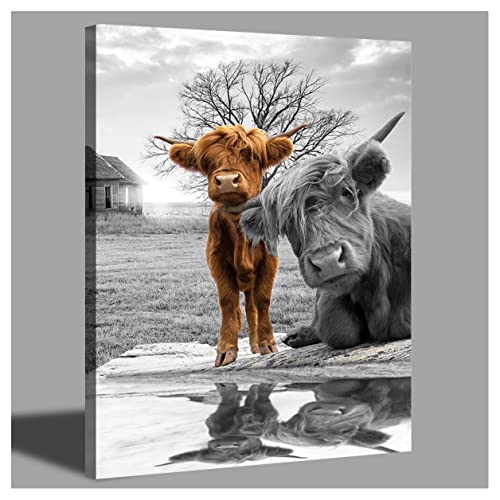 Highland Cow Canvas Wall Art Black and White Animal Print Pictures Highland Cattle Photo Framed Farmhouse Painting 12x16 inches for Home Decor