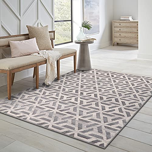 FirsTime & Co. Gray Loren Geometric Area Rug for Living Room, Bedroom, Entryway, Home Office, Distressed, Modern, 5 x 8 Feet