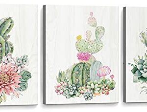 Framed Canvas Wall Art Succulents Cactus Picture Print Paintings Bathroom Wall Decor Living Room Bedroom Kitchen Wall Decorations Artwork Modern Home 3 Piece Plant Wall Decor Size 12x16 inch 3 Panel