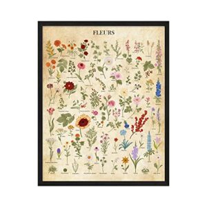 botanical wall art flower poster – set of 1 (11×14″) vintage posters wildflower poster botanical poster, vintage wall art herb poster vintage floral prints for wall decor flowers wall art – unframed