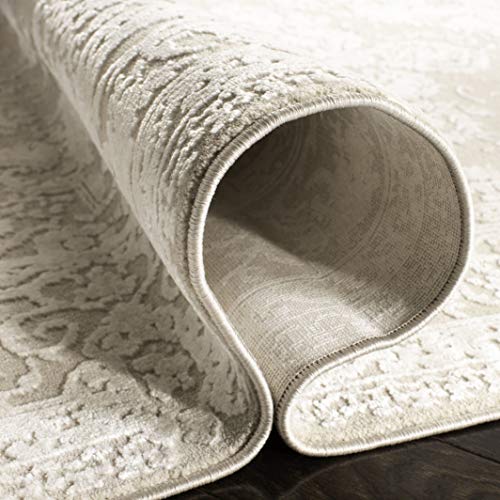 SAFAVIEH Reflection Collection 8' x 10' Cream/Ivory RFT664D Boho Tribal Distressed Living Room Dining Bedroom Area Rug