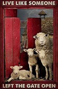 metal tin retro sign – sheep live like someone left the gate open metal poster farm life farmhouse sign country farm kitchen wall home garden decor art signs garage decoration 8x12inch