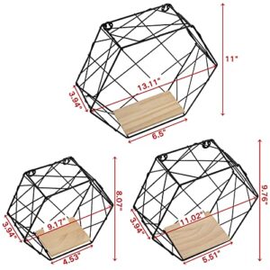 Fasmov 3 Pack Hexagon Shelves Wall Mounted Floating Shelves, Farmhouse Storage Shelves for Wall Decor for Living Room, Kitchen and Bedroom