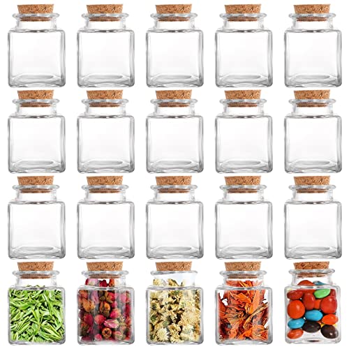 Dicunoy 20 PCS Glass Favor Jars with Cork Lids, 2 OZ Mini Square Vials Bottles for Herb Storage, Small Spice Containers for Tea, Jelly, Candy, Potions, Wedding & Party Favors, DIY Crafts