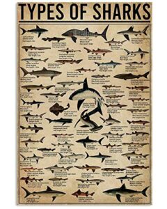 vintage tin logo types of sharks art print poster metal signage cafe bar garage metal plaque 12×16 inches