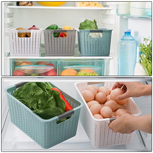 Lawei 9 Pack Plastic Storage Baskets, 10.5 x 7.1 x 5.5 Inch Weave Storage Bins with Handle, Plastic Shelf Organizer Basket for Home Cabinet, Pantry Storage Bins for Toys, Classroom