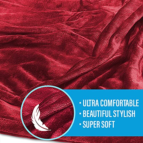 Electric Heated Throw Blanket Fleece with Controller, 50" x 60" , 4 Hours Auto Shut-Off, Fast Warming, Full-Body Comfort, Luxuriously Soft, Machine Washable (Red)