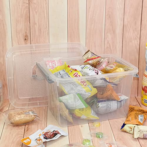 AnnkkyUS 4-pack 6 L Plastic Storage Bin with Lid, Clear Plastic Boxes