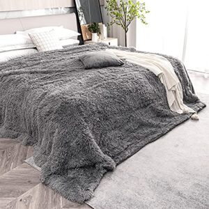 Pawque Faux Fur Blankets Queen Size 60x80 inches, Super Soft Fuzzy Fluffy Blanket, Warm Thick Sherpa Long Hair Shag Reversible Lightweight Cozy Throw for Bedroom Sofa Couch, Grey