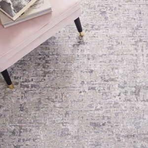 SAFAVIEH Webster Collection 4' x 6' Grey/Beige WBS310G Distressed Premium Viscose Area Rug