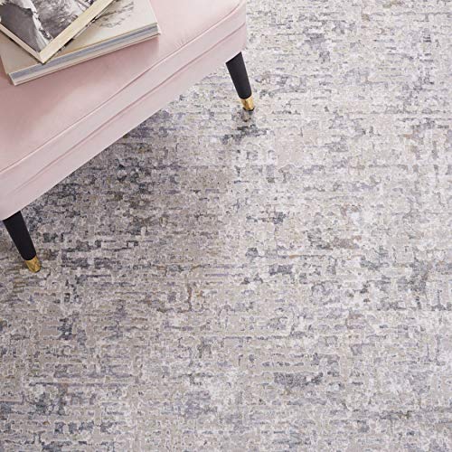 SAFAVIEH Webster Collection 4' x 6' Grey/Beige WBS310G Distressed Premium Viscose Area Rug