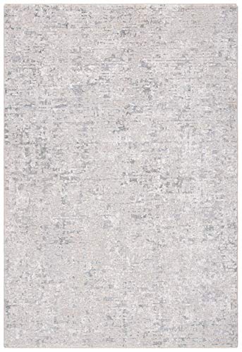 SAFAVIEH Webster Collection 4' x 6' Grey/Beige WBS310G Distressed Premium Viscose Area Rug