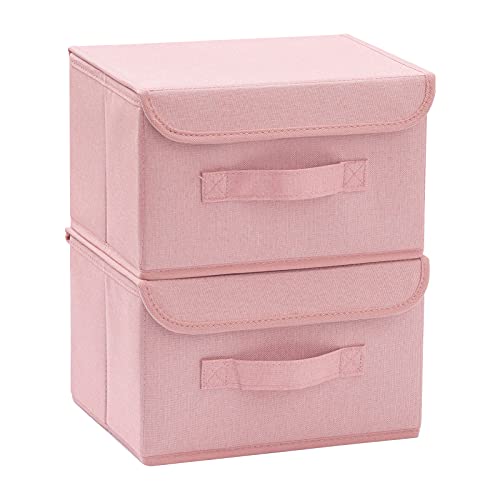 BICOY Foldable Storage Boxes with Lid 2PCS Cube Fabric Organizer Basket Home Bedroom Closet Office Storage Bins for Clothes, Toys, Sundries, Papers, Books Pink 9.8"x7.5"x5.9"