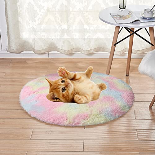 Ultra Soft Bedroom Rug, Round Fluffy Rainbow Area Rugs, Cute Circle Carpet Plush Rug for Bedroom Living Room Home Decor, Thick Shag Carpet 2 Feet for Girls (Rainbow)